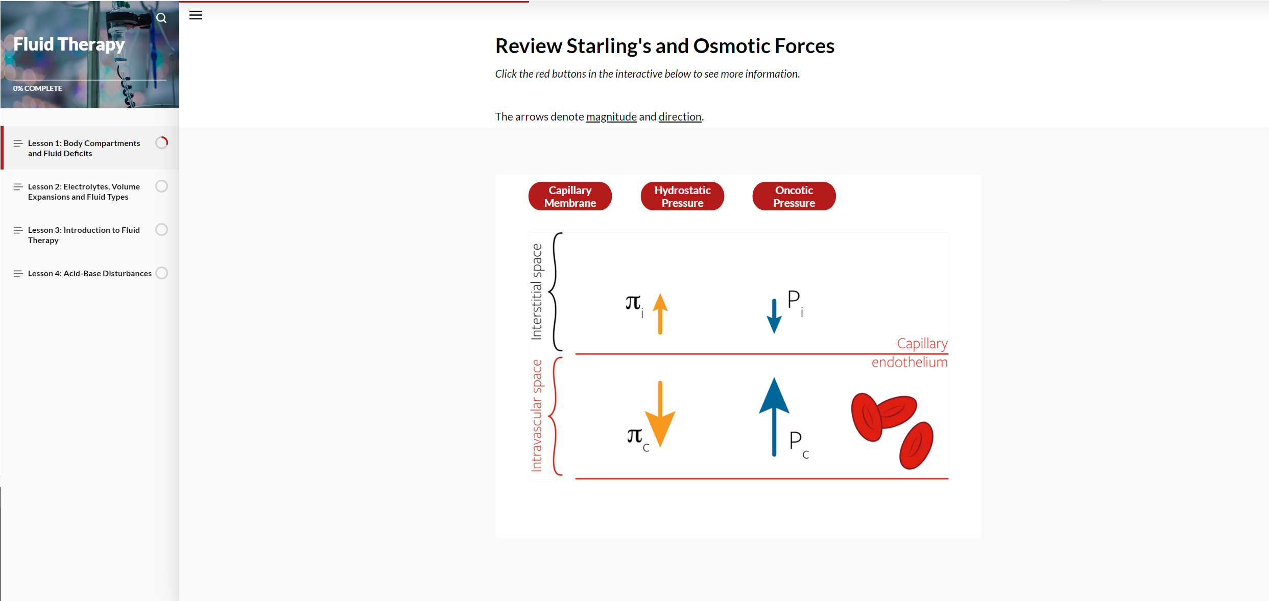 Fluid Learning: A Multi-Modal Approach to Teaching Fluid Therapy | Cornell University College of ...